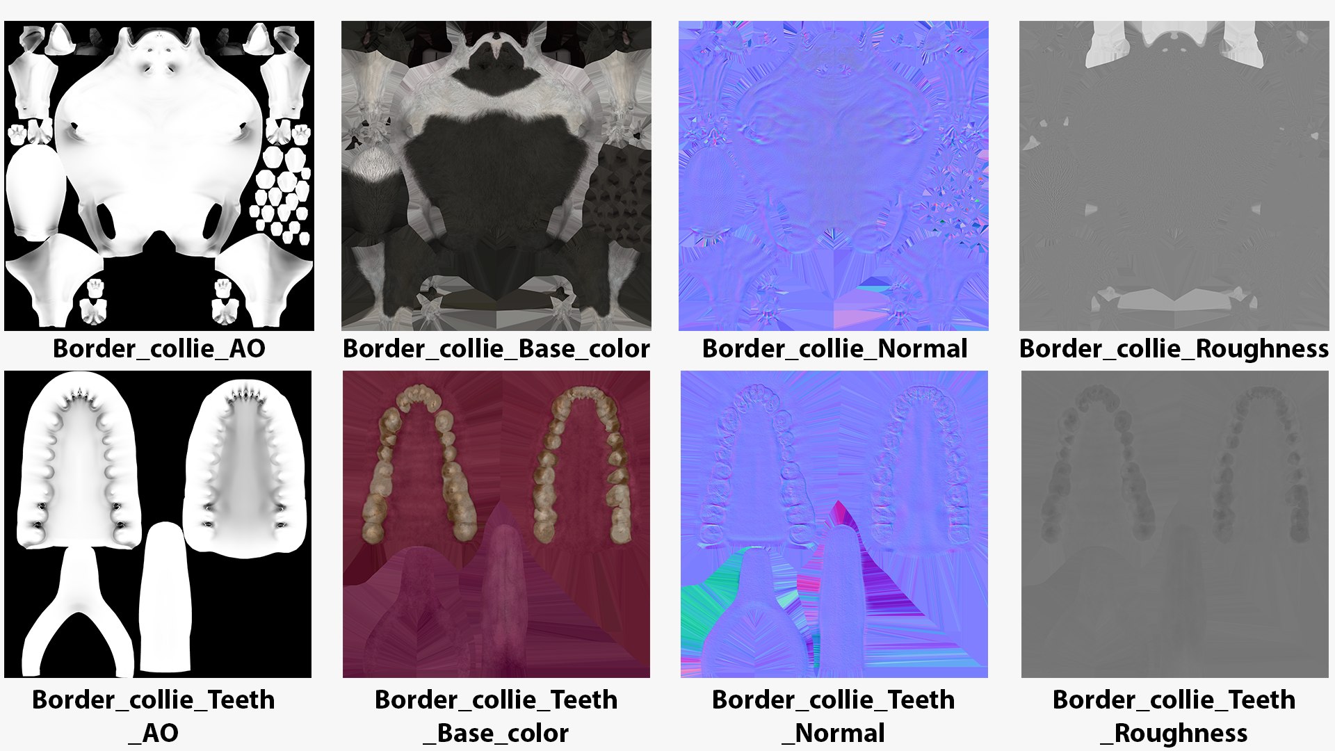 3D Model Border Collie - TurboSquid 2502483