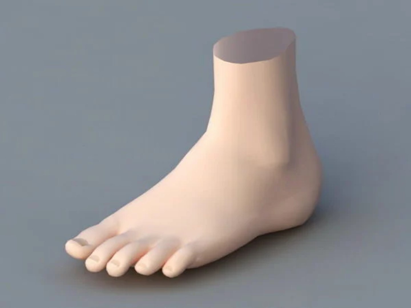 3D Realistic 3d human body collection all parts of the human body can ...