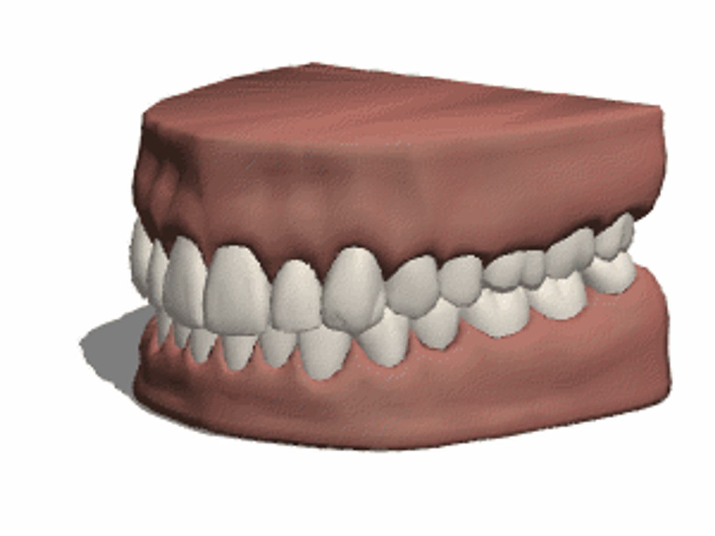3D Realistic 3d human body collection all parts of the human body can ...