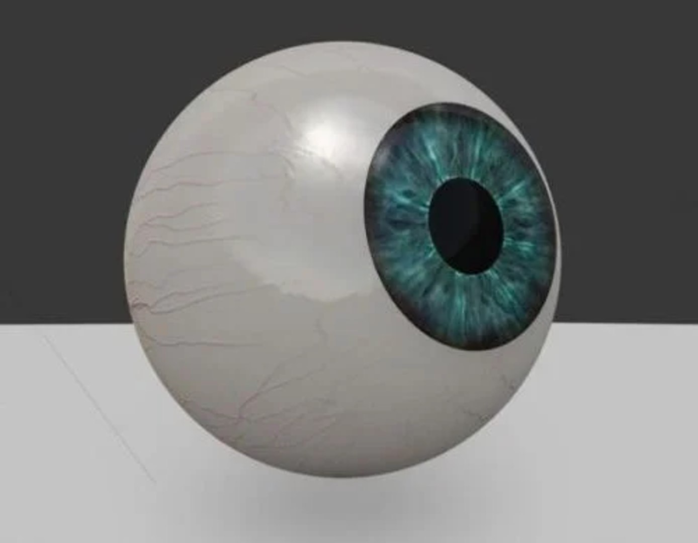 3D Realistic 3d human body collection all parts of the human body can ...