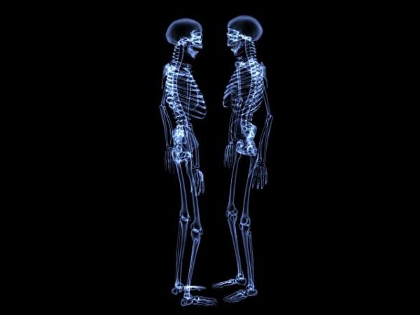 3D Realistic 3d human body collection all parts of the human body can ...