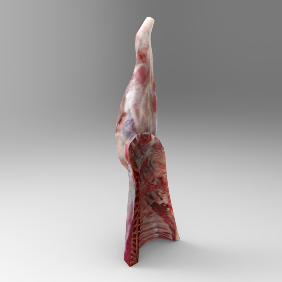 3d Model Meat 04