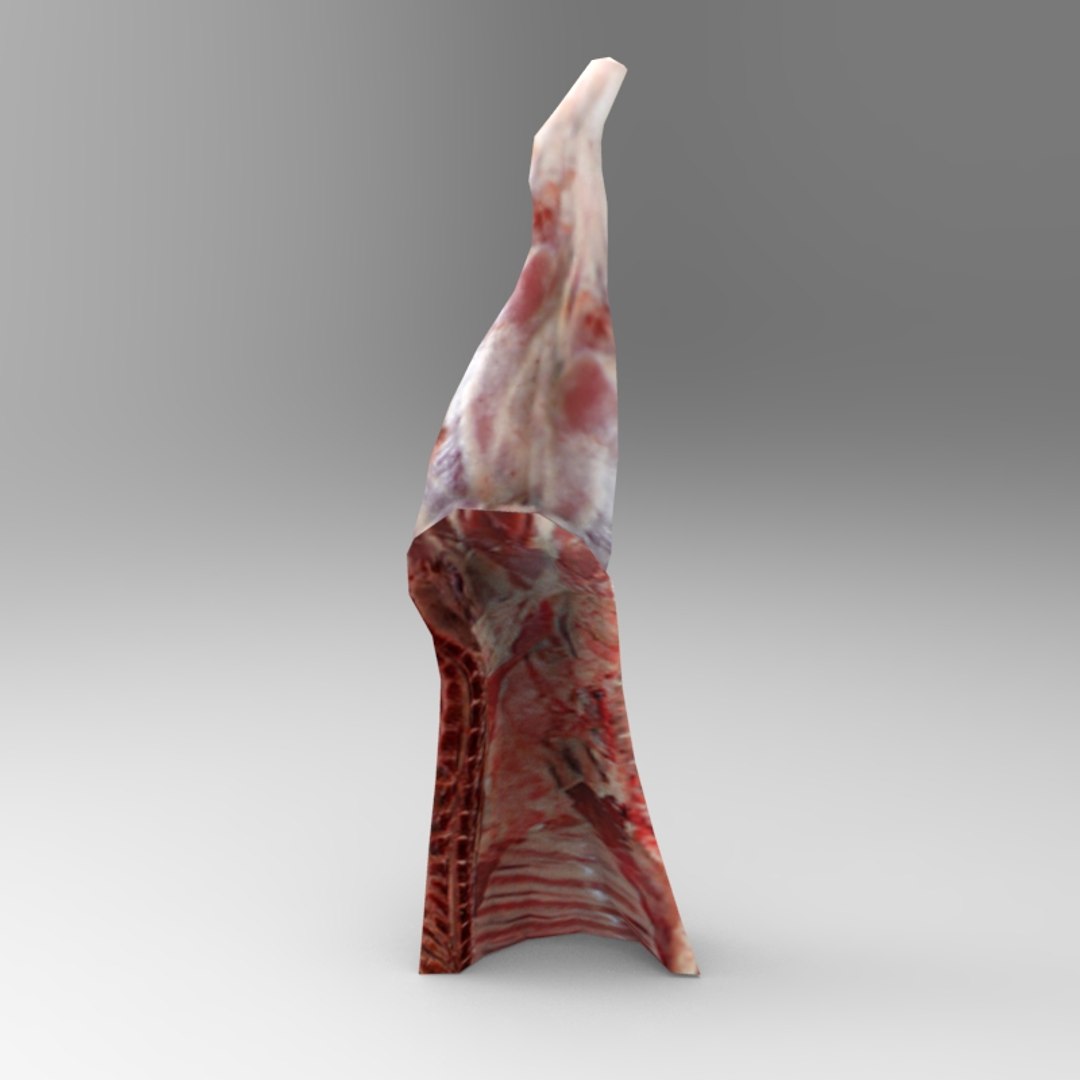 3d model meat 04