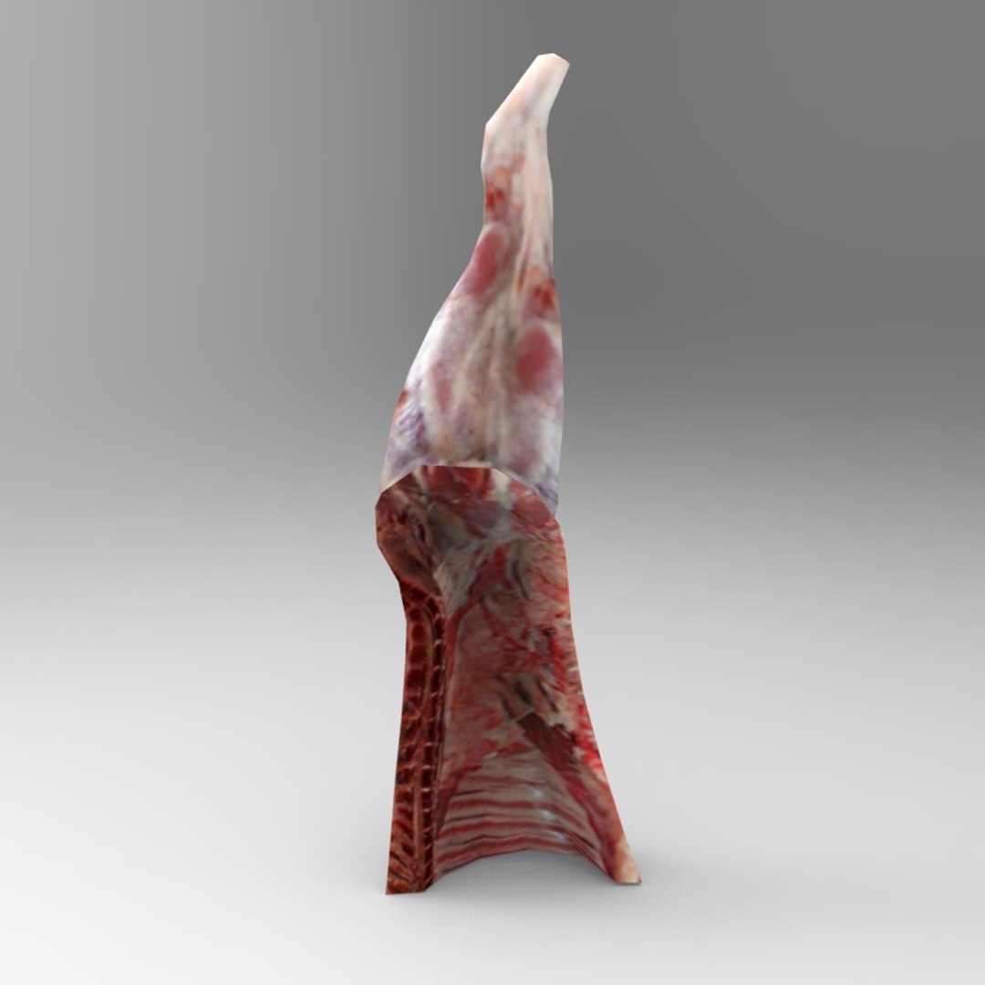 3d Model Meat 04