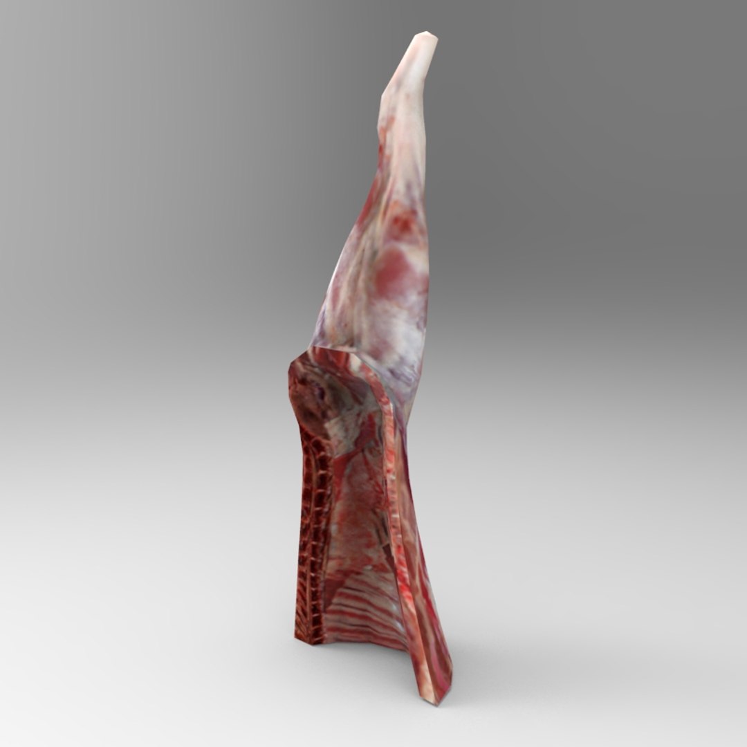 3d model meat 04