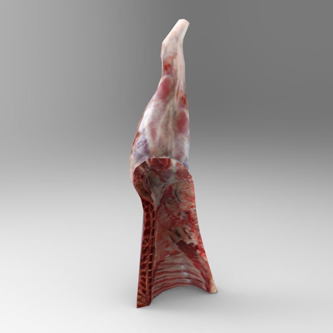 3d Model Meat 04