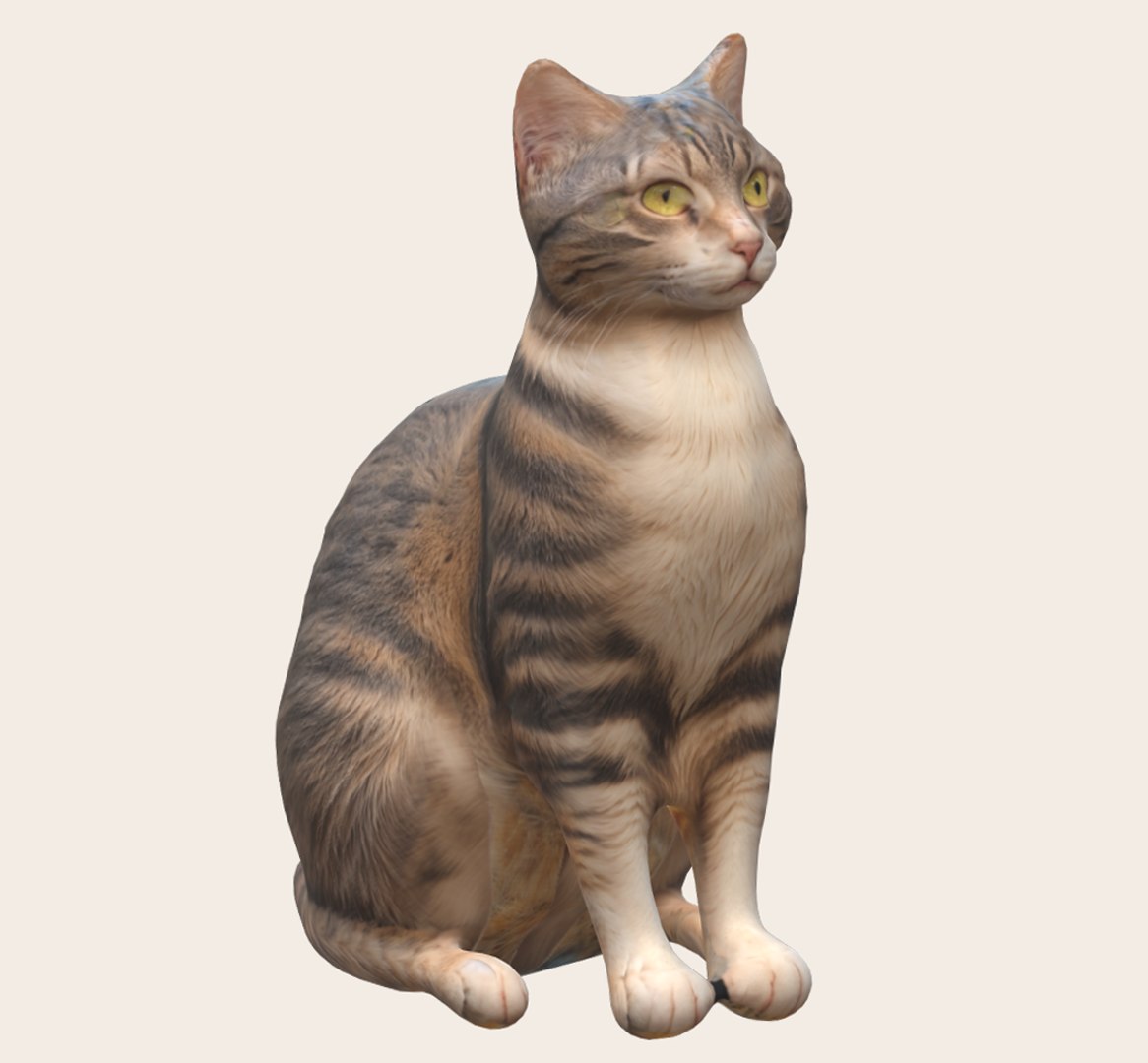 Sitting Cat 3D Model - TurboSquid 2271461