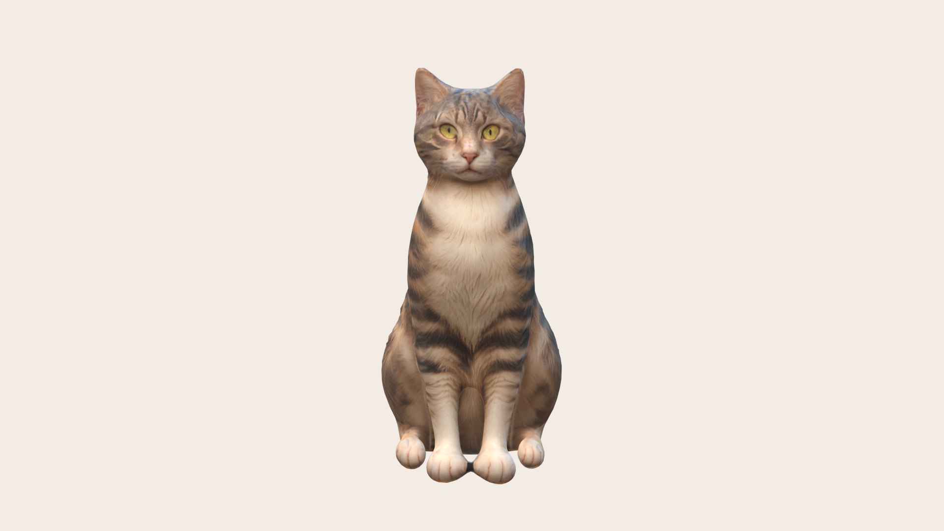 Sitting Cat 3D Model - TurboSquid 2271461