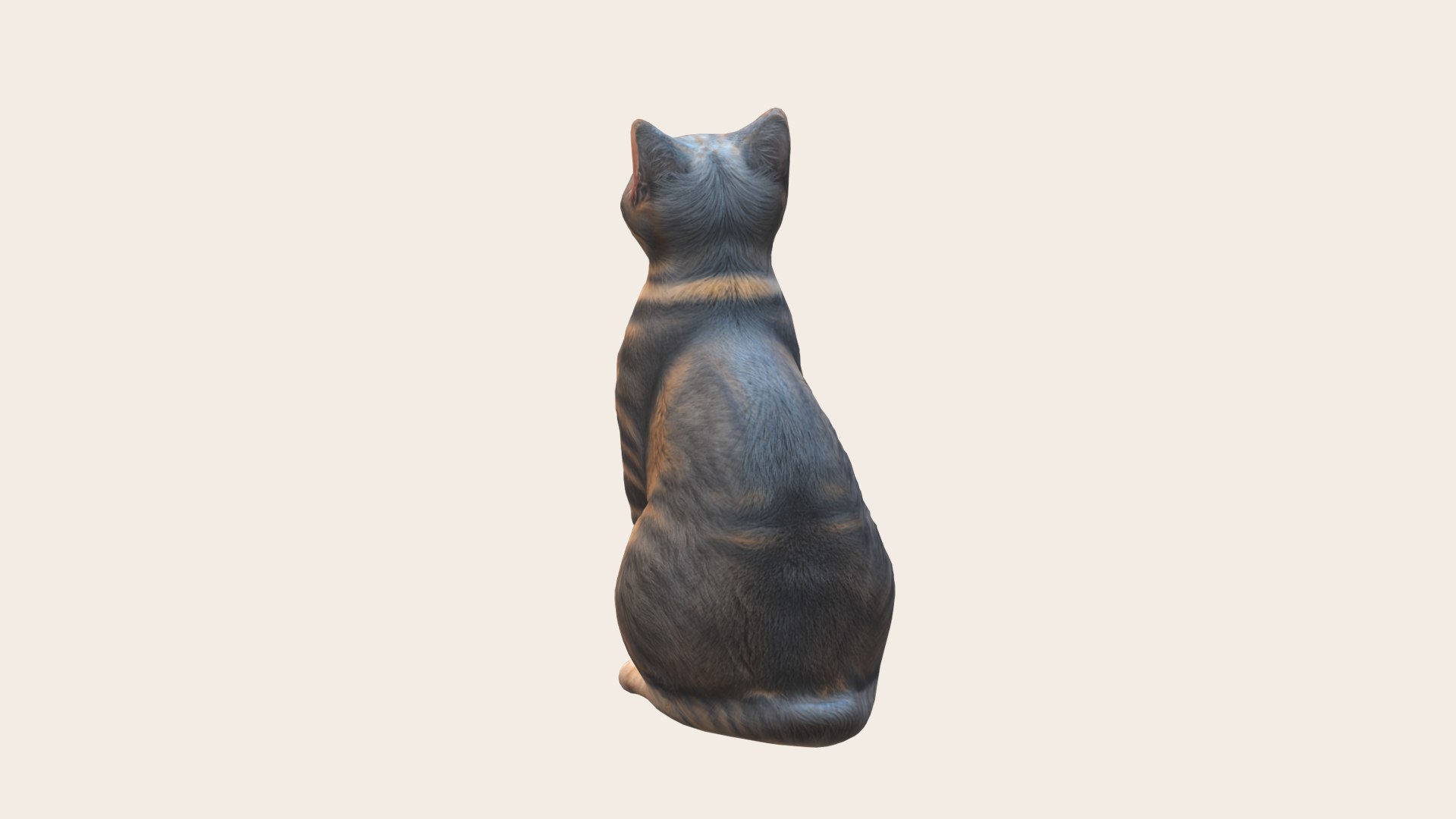 Sitting Cat 3D Model - TurboSquid 2271461