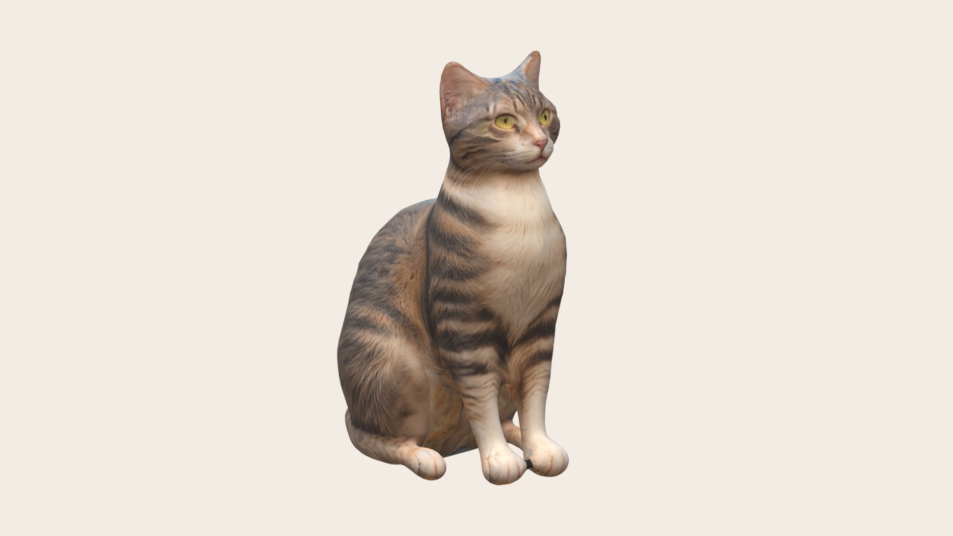 Sitting Cat 3D Model - TurboSquid 2271461