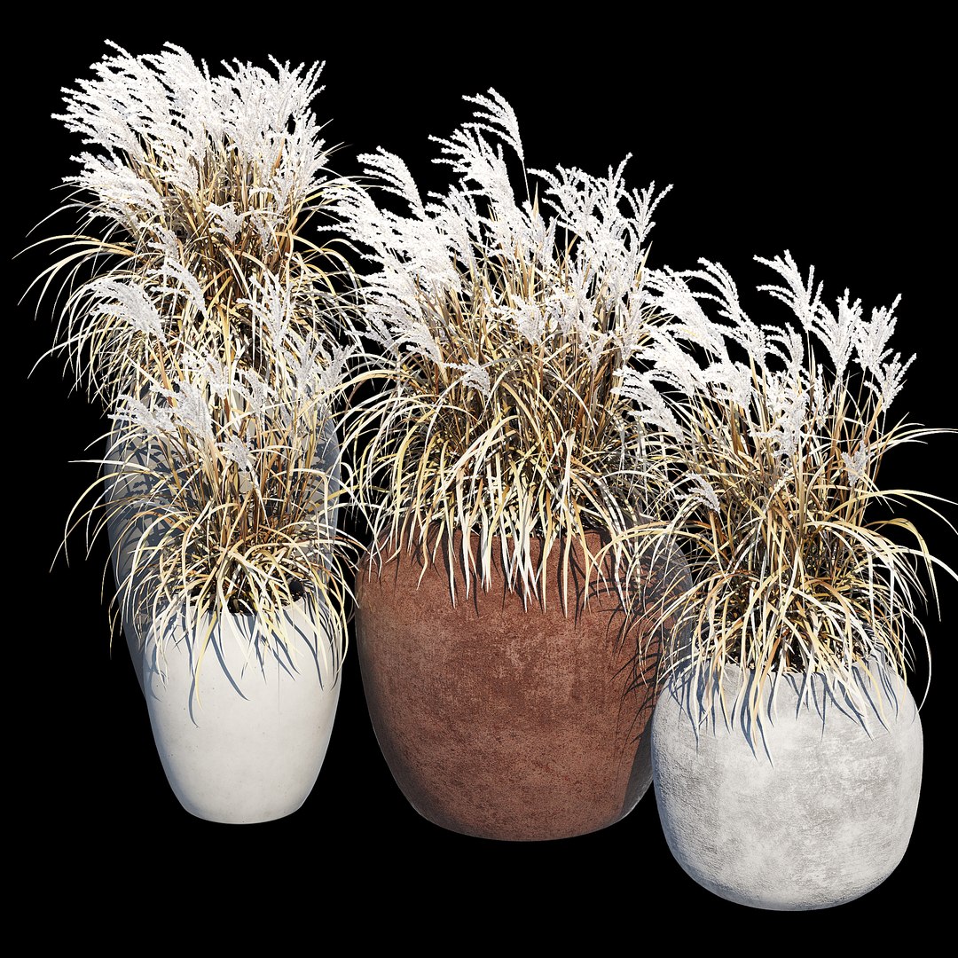 Ronan Ficonstone Indoor 3D - TurboSquid 2031459