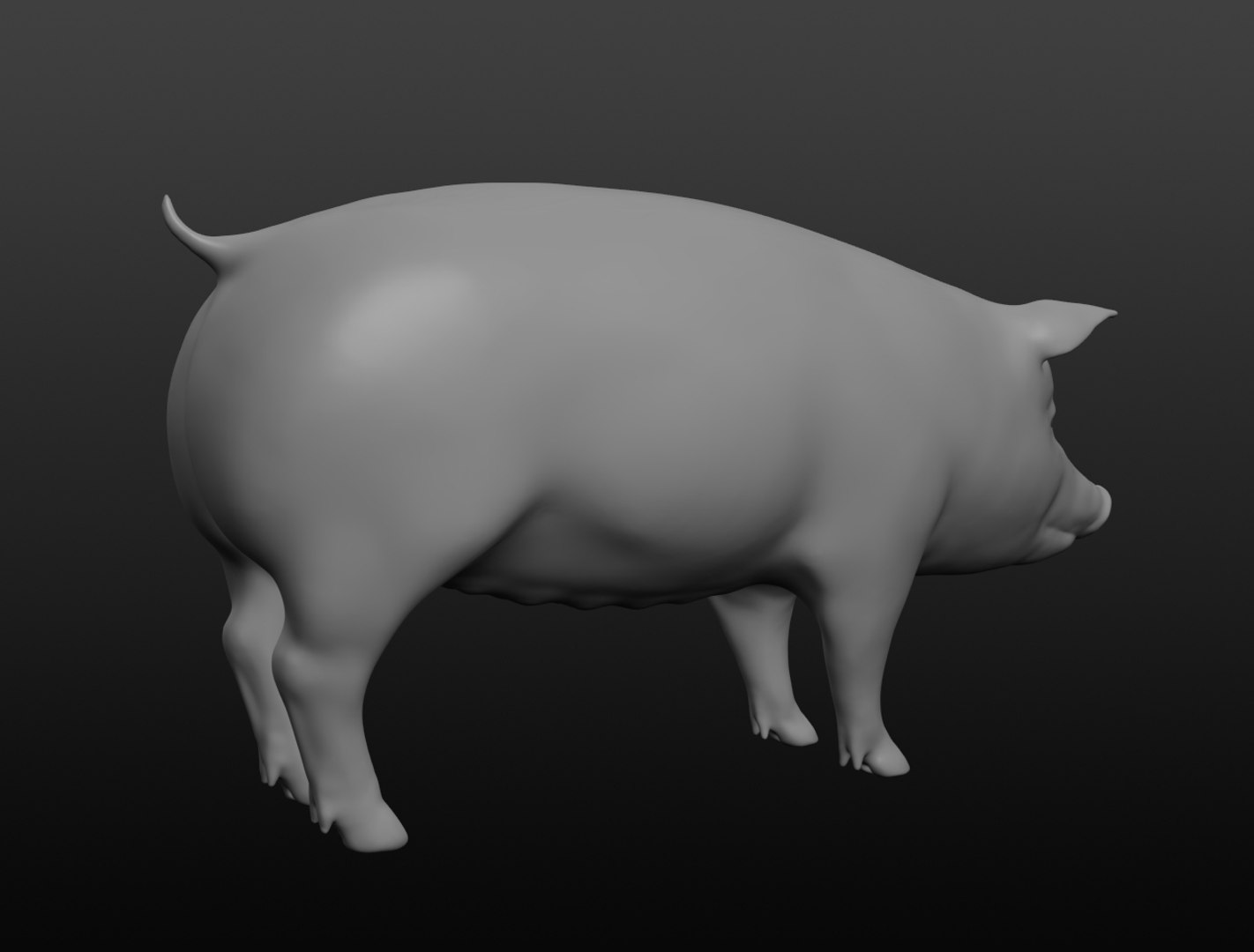 3D Pig Base Mesh - TurboSquid 1412292