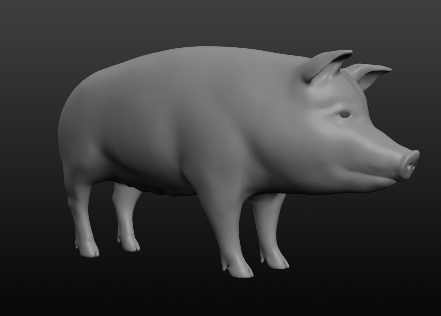 3D Pig Base Mesh - TurboSquid 1412292