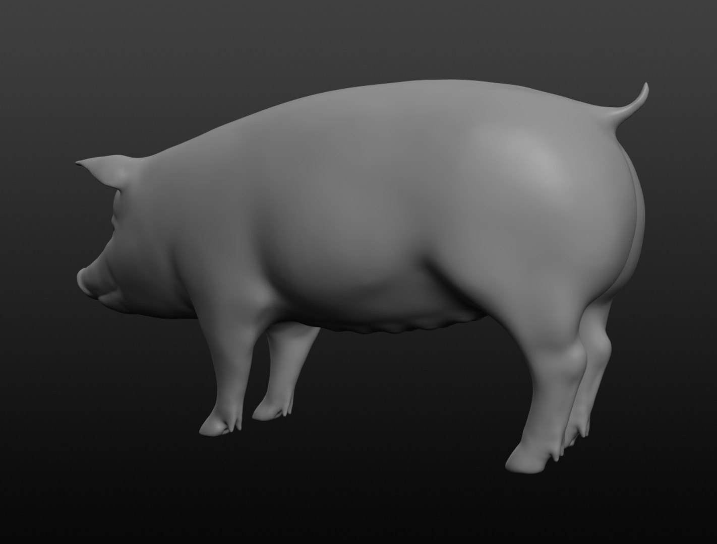 3D Pig Base Mesh - TurboSquid 1412292