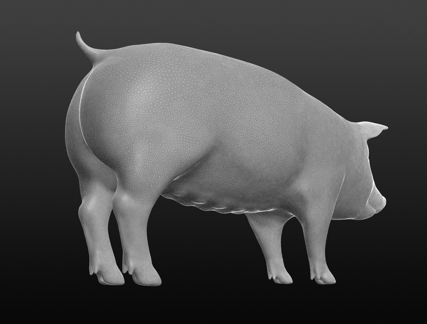 3D Pig Base Mesh - TurboSquid 1412292