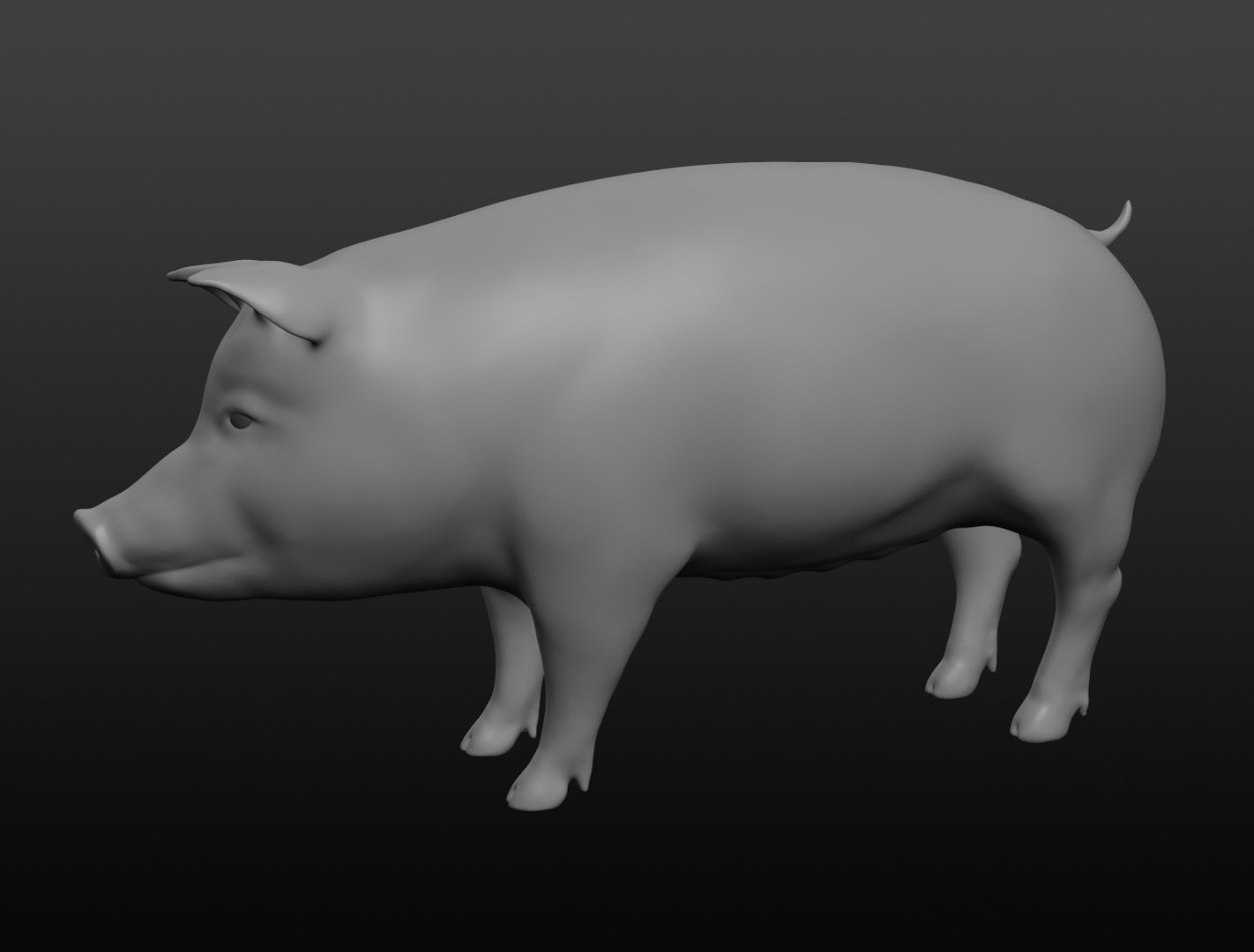 3D Pig Base Mesh - TurboSquid 1412292