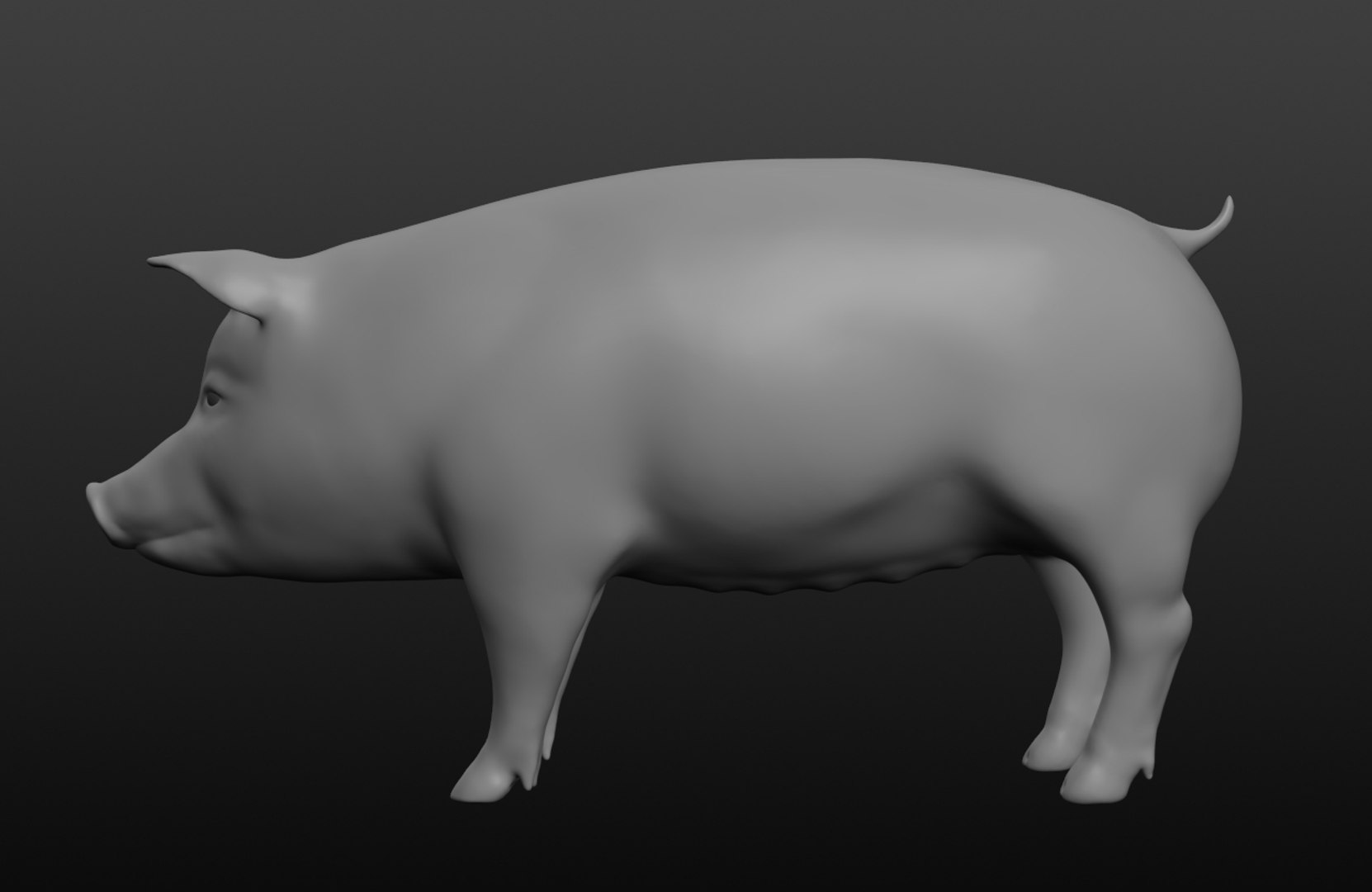3D Pig Base Mesh - TurboSquid 1412292