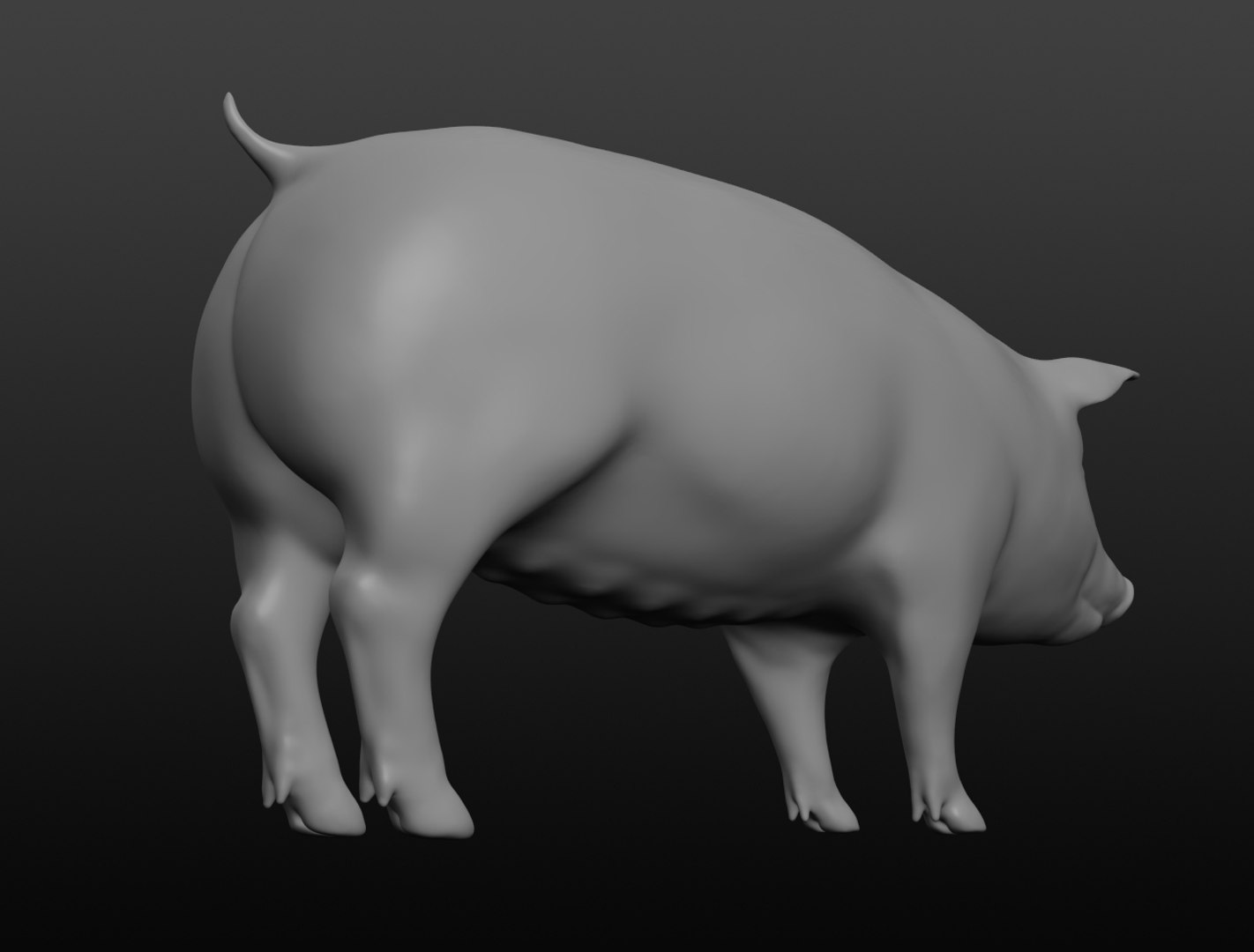 3D Pig Base Mesh - TurboSquid 1412292