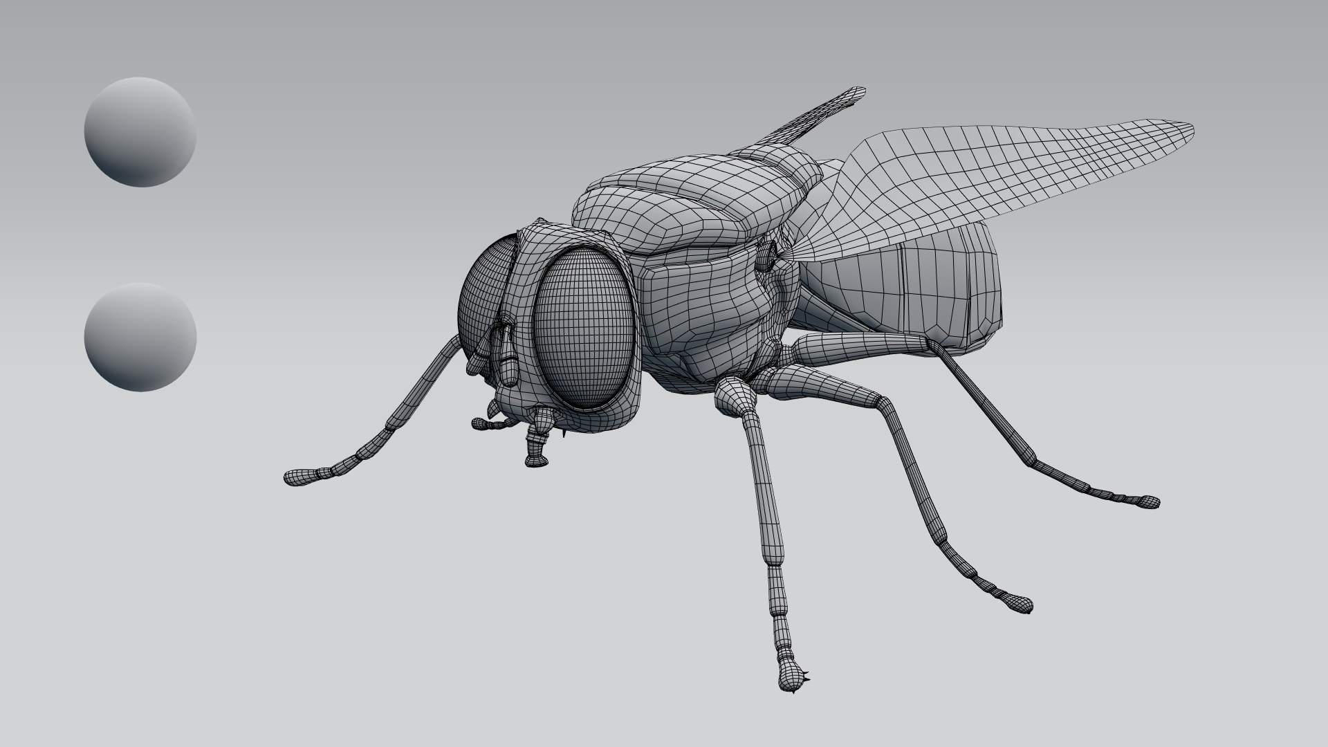 Housefly House Fly 3D - TurboSquid 1485572