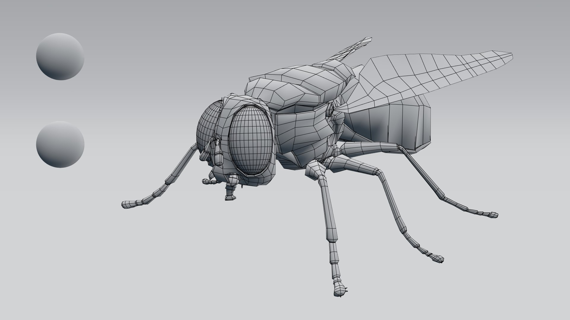 Housefly House Fly 3D - TurboSquid 1485572