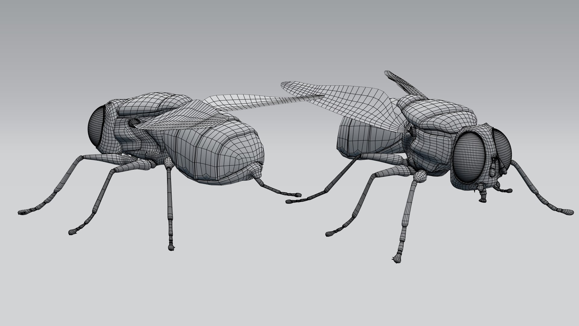 Housefly House Fly 3D - TurboSquid 1485572
