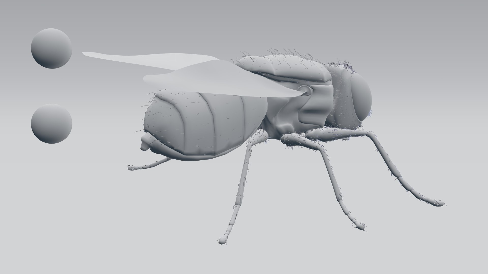 Housefly House Fly 3D - TurboSquid 1485572