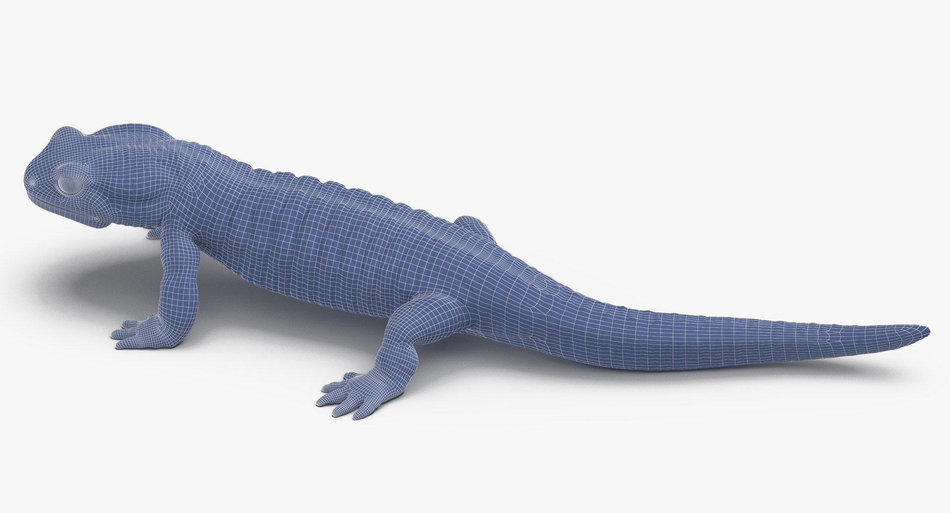 3D Model Salamander Standing - TurboSquid 1375617