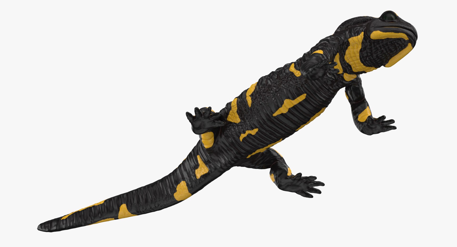 3D Model Salamander Standing - TurboSquid 1375617
