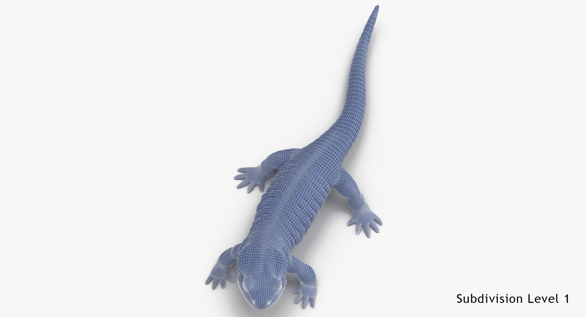 3D Model Salamander Standing - TurboSquid 1375617