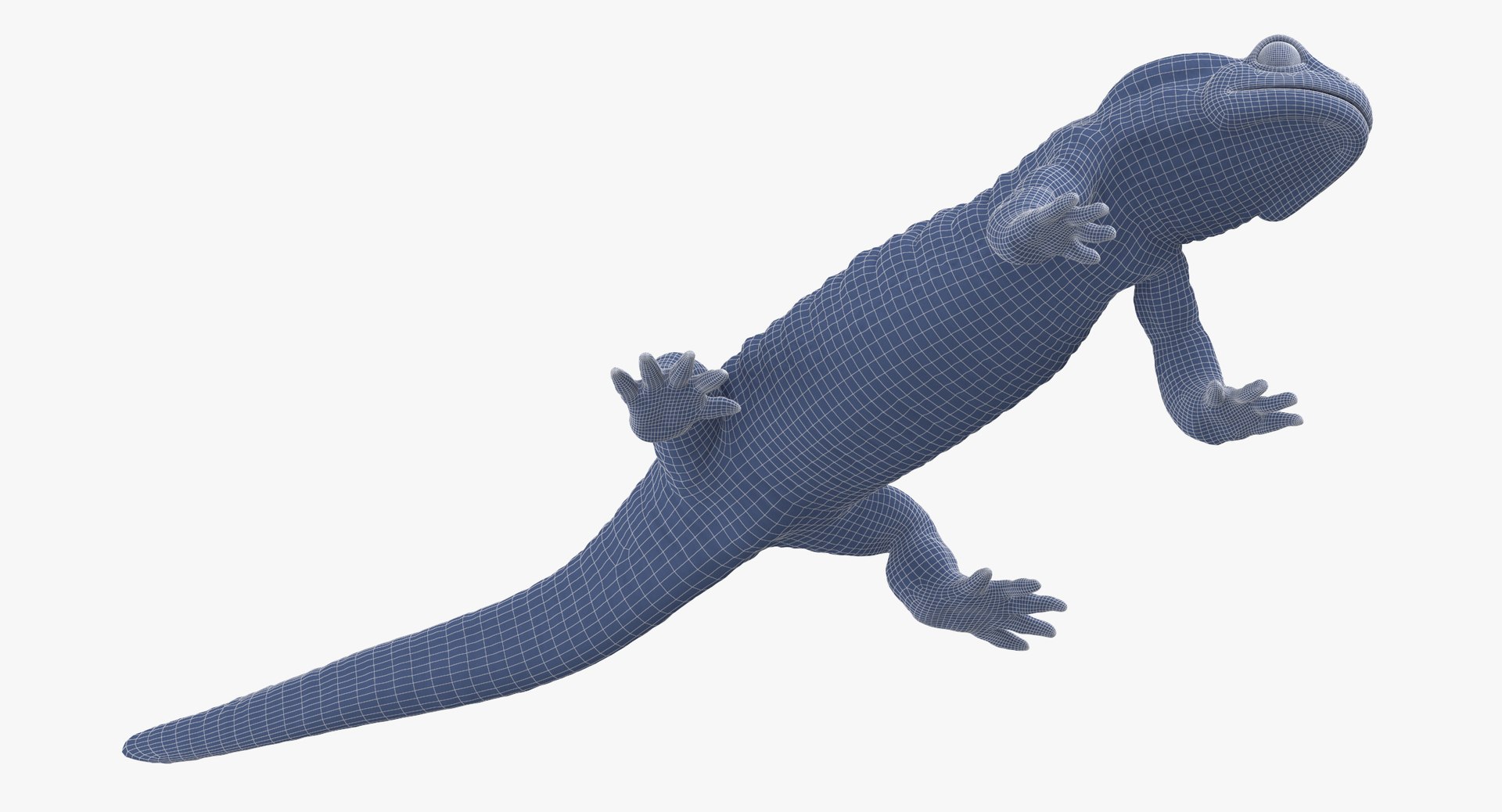 3D Model Salamander Standing - TurboSquid 1375617