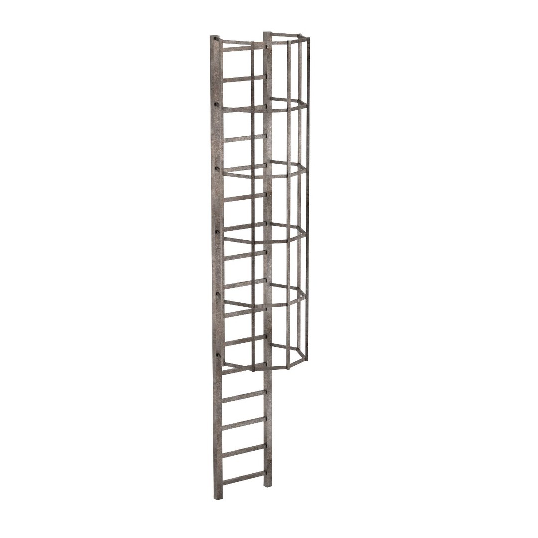 3d Model Industrial Ladder