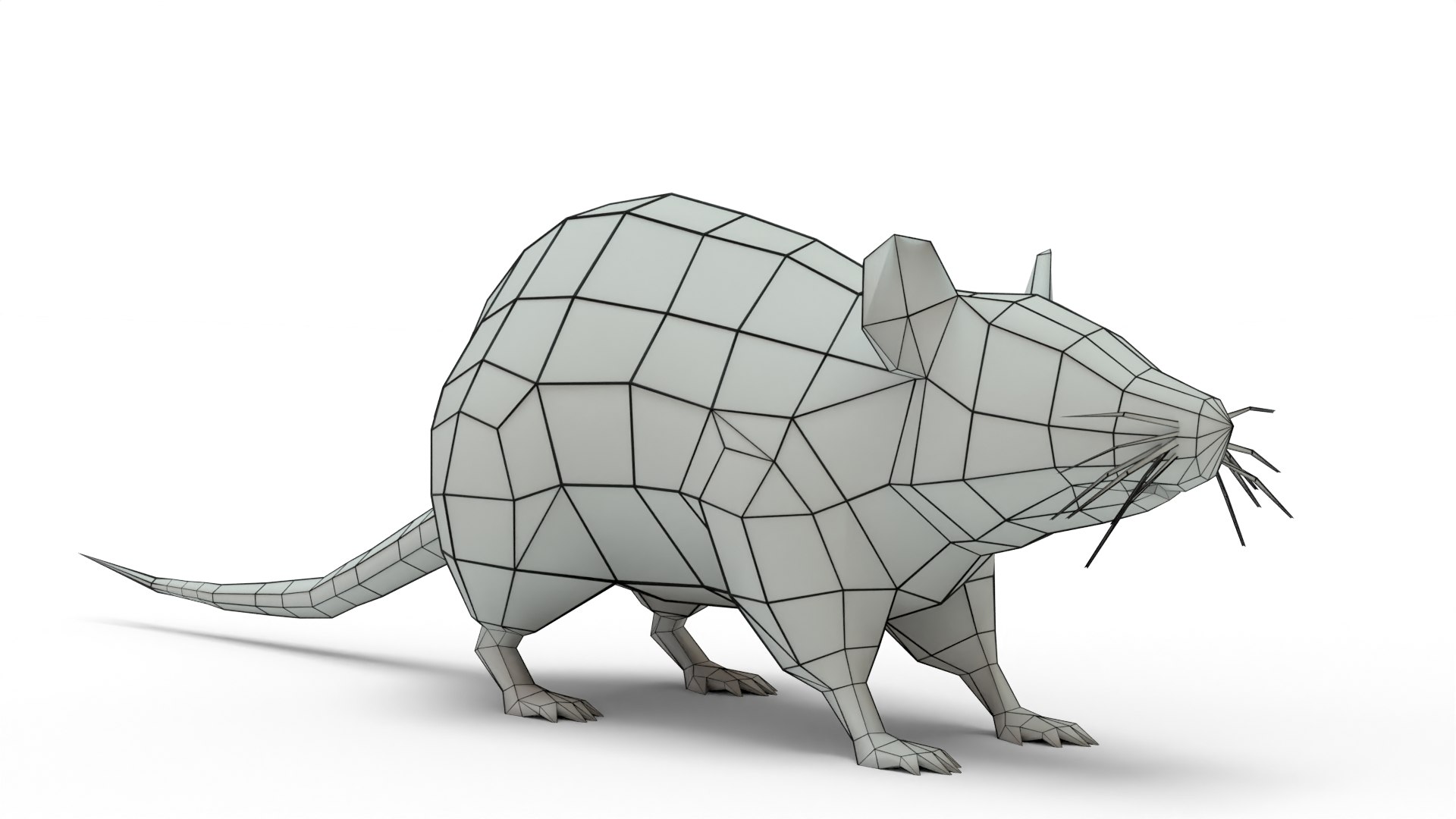 Rats 3D Model - TurboSquid 2296504