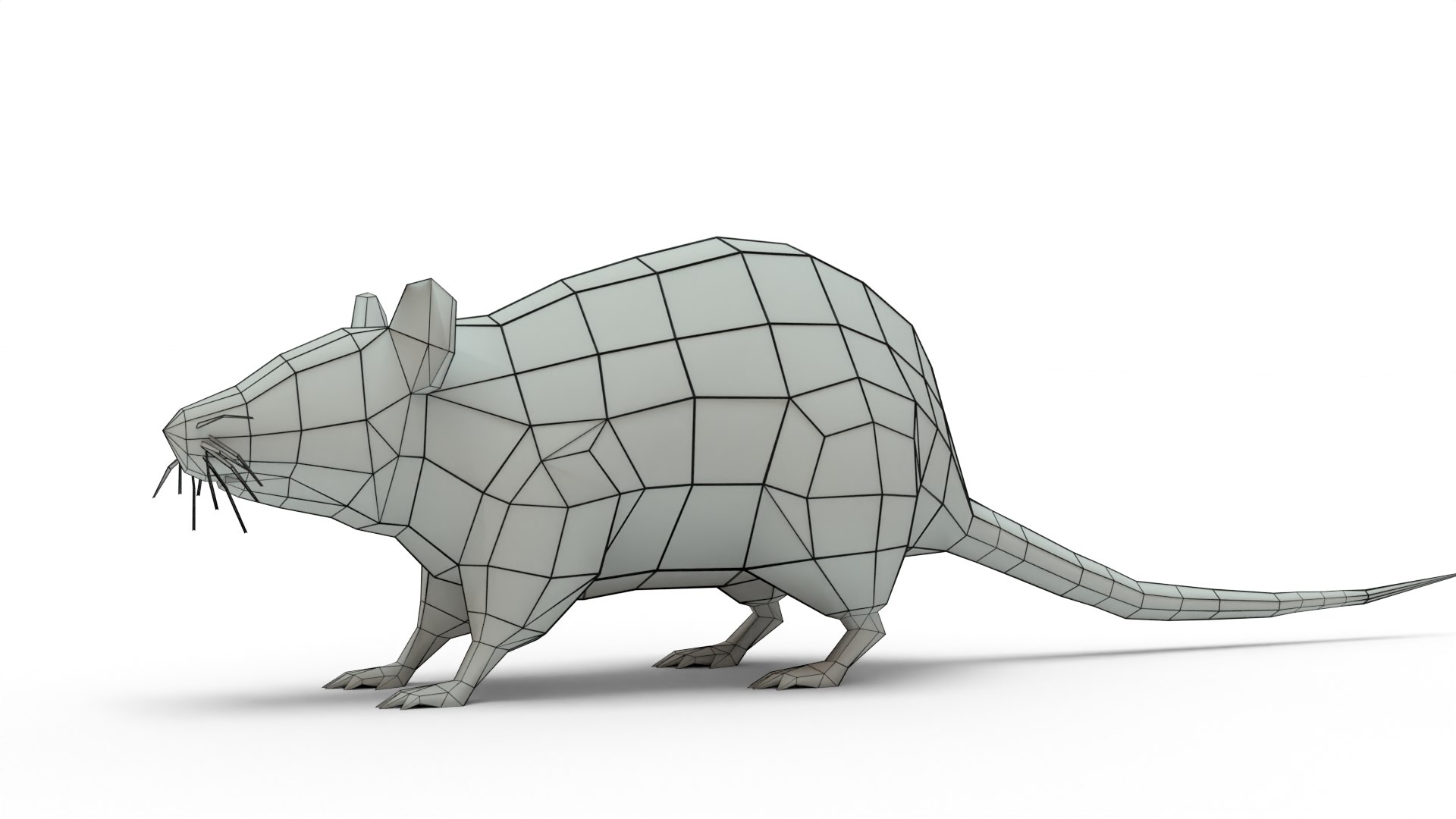 Rats 3D Model - TurboSquid 2296504