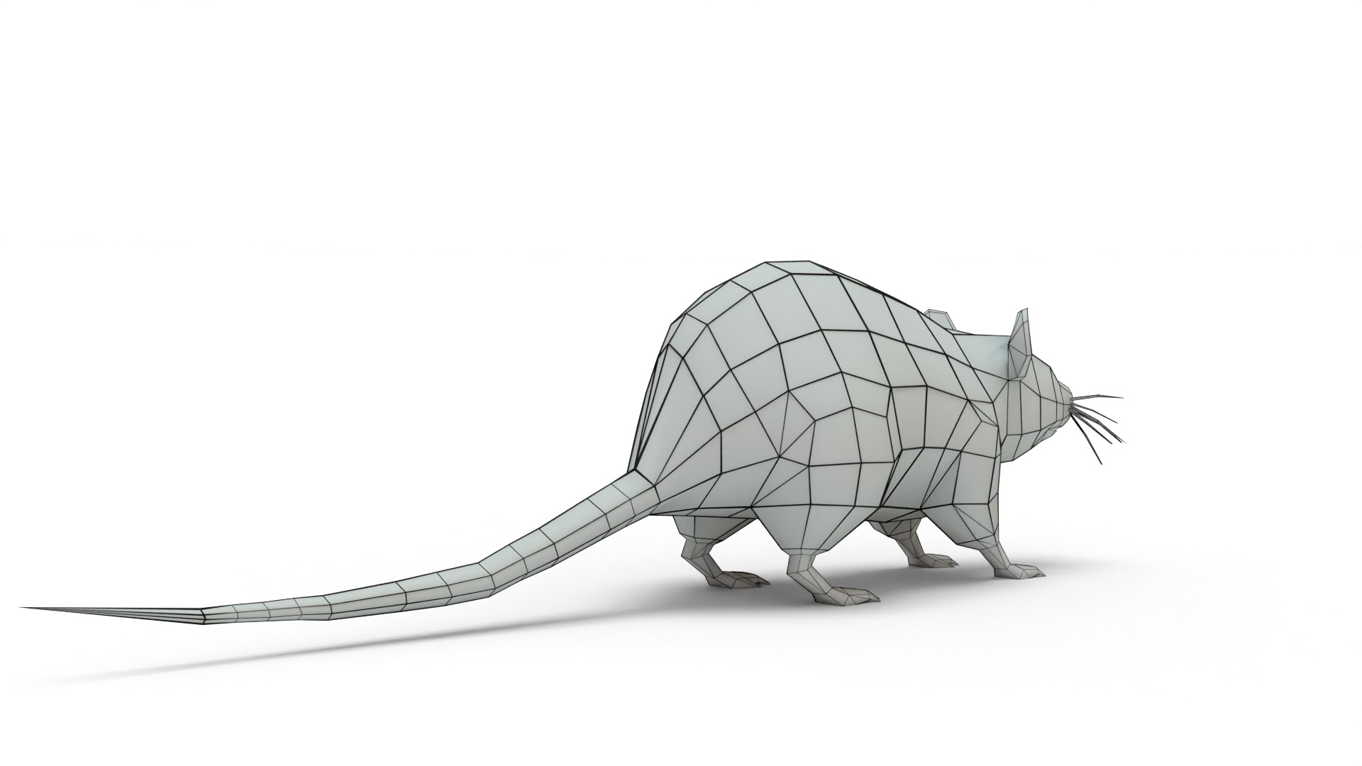 Rats 3D Model - TurboSquid 2296504