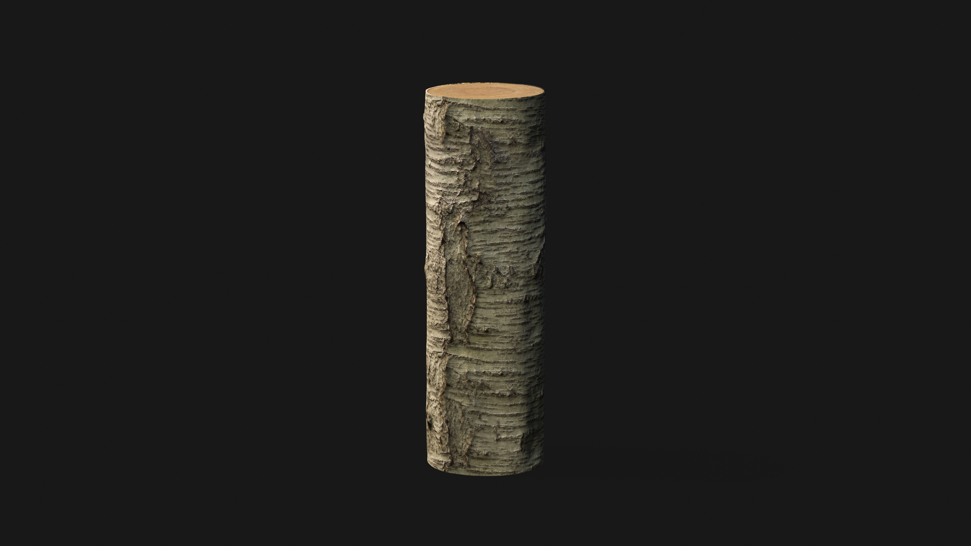 Sweet Cherry Bark PBR Tiled Texture 8K 3D Model - TurboSquid 2466065