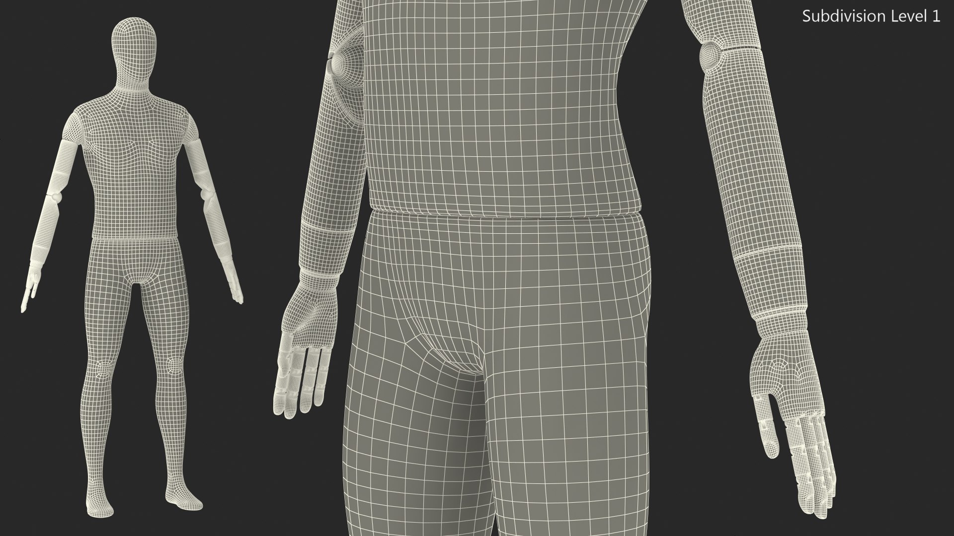3D Flexible Manikin Rigged for Maya - TurboSquid 1859740