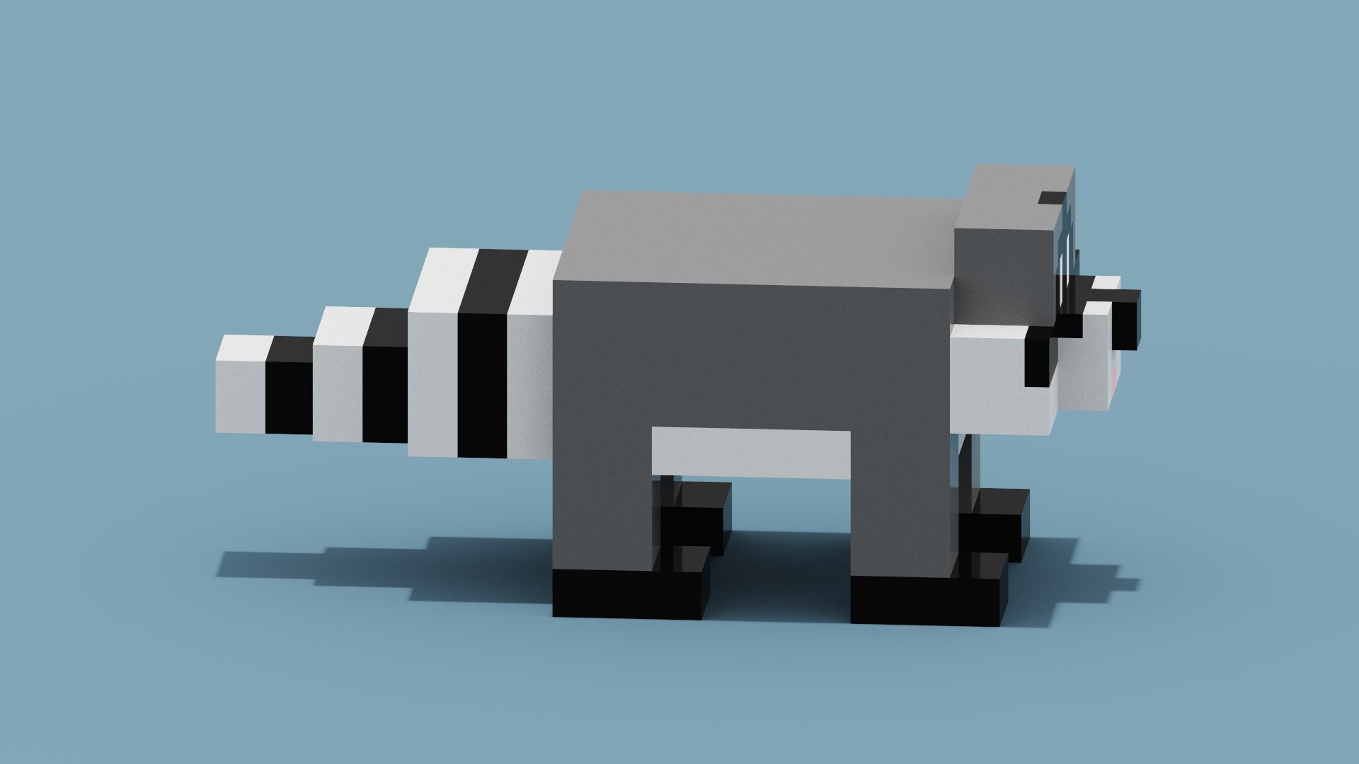 3D Voxel Raccoon Model - TurboSquid 1955609