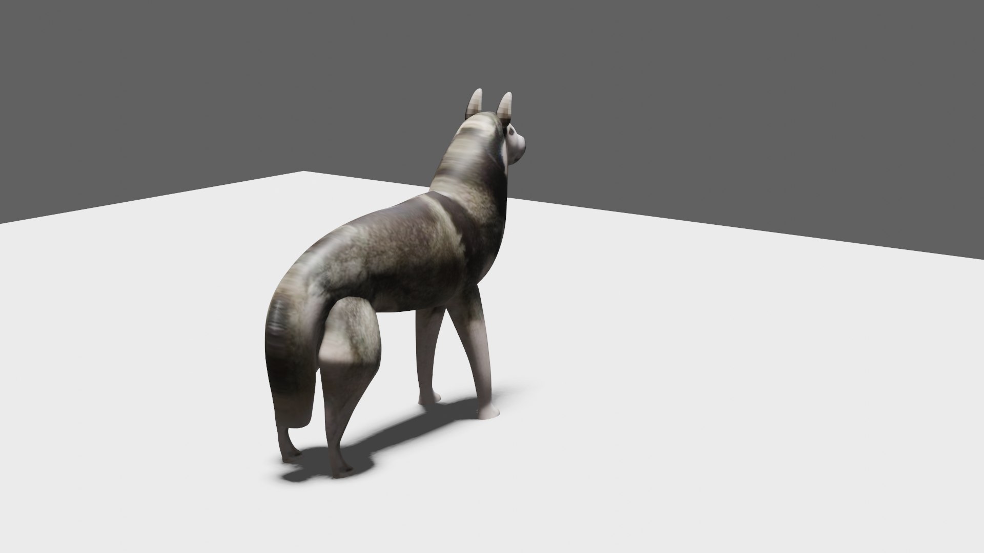 Husky 3D Model - TurboSquid 2076139