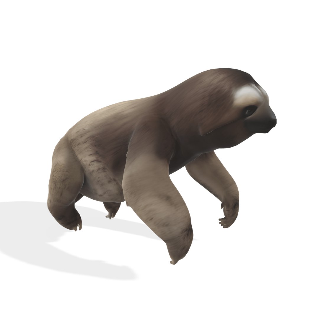 Chill The Stylized Sloth 3D Model - TurboSquid 2324780