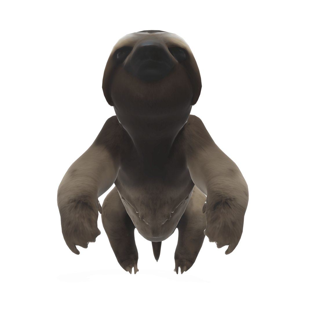 Chill The Stylized Sloth 3D Model - TurboSquid 2324780