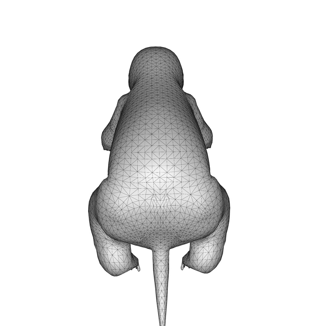 Chill The Stylized Sloth 3D Model - TurboSquid 2324780