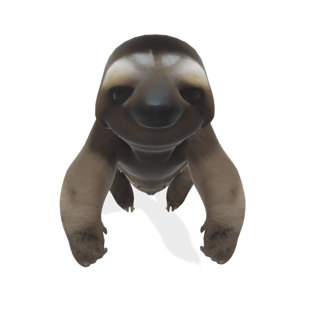 Chill The Stylized Sloth 3D Model - TurboSquid 2324780