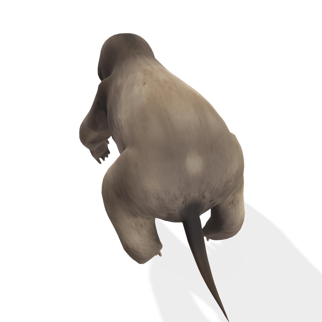 Chill The Stylized Sloth 3D Model - TurboSquid 2324780