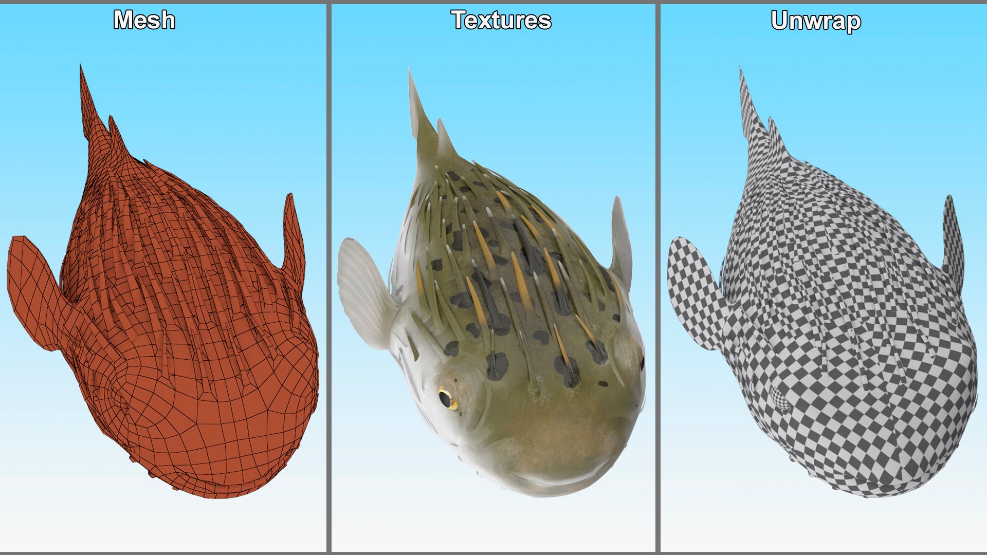 3D Puffer Fish Model - TurboSquid 2191849