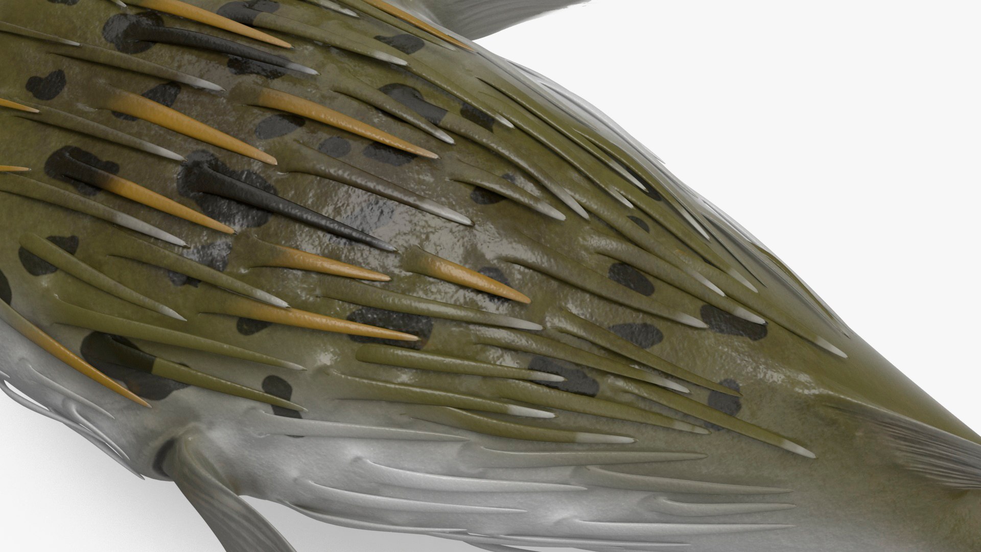 3D Puffer Fish Model - TurboSquid 2191849