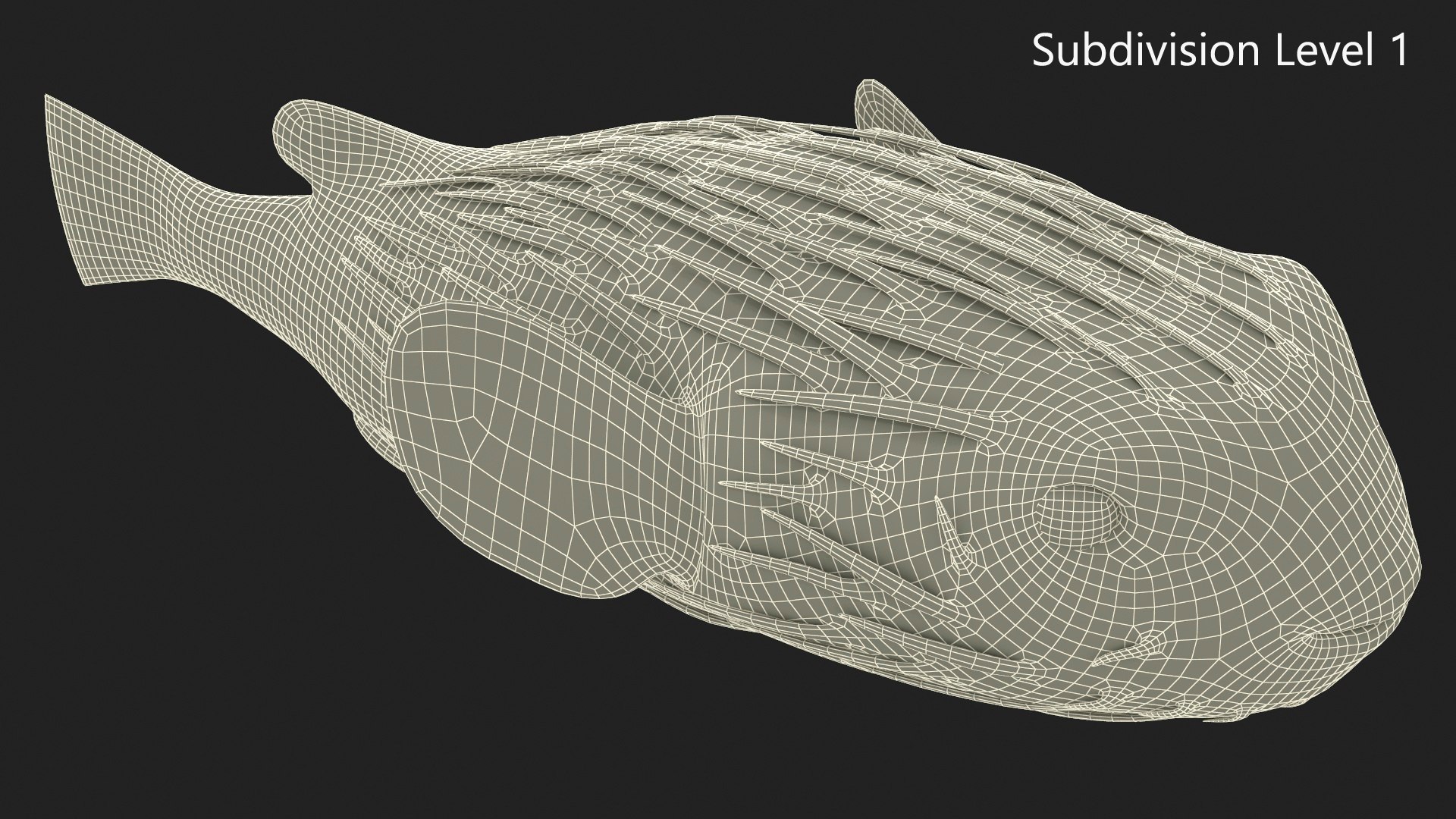 3D Puffer Fish Model - TurboSquid 2191849