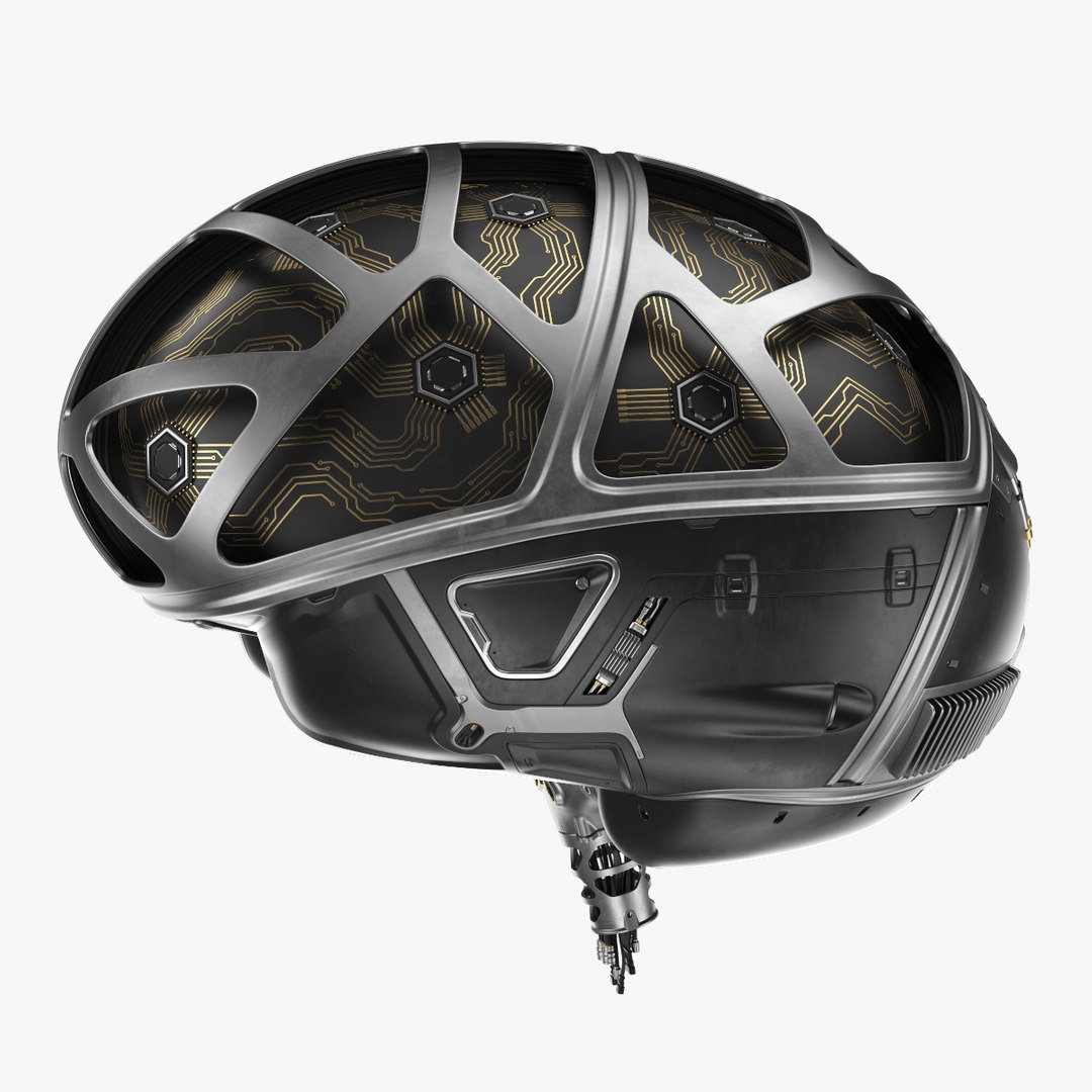 Cyber Brain Organized 3D Model - TurboSquid 1504760