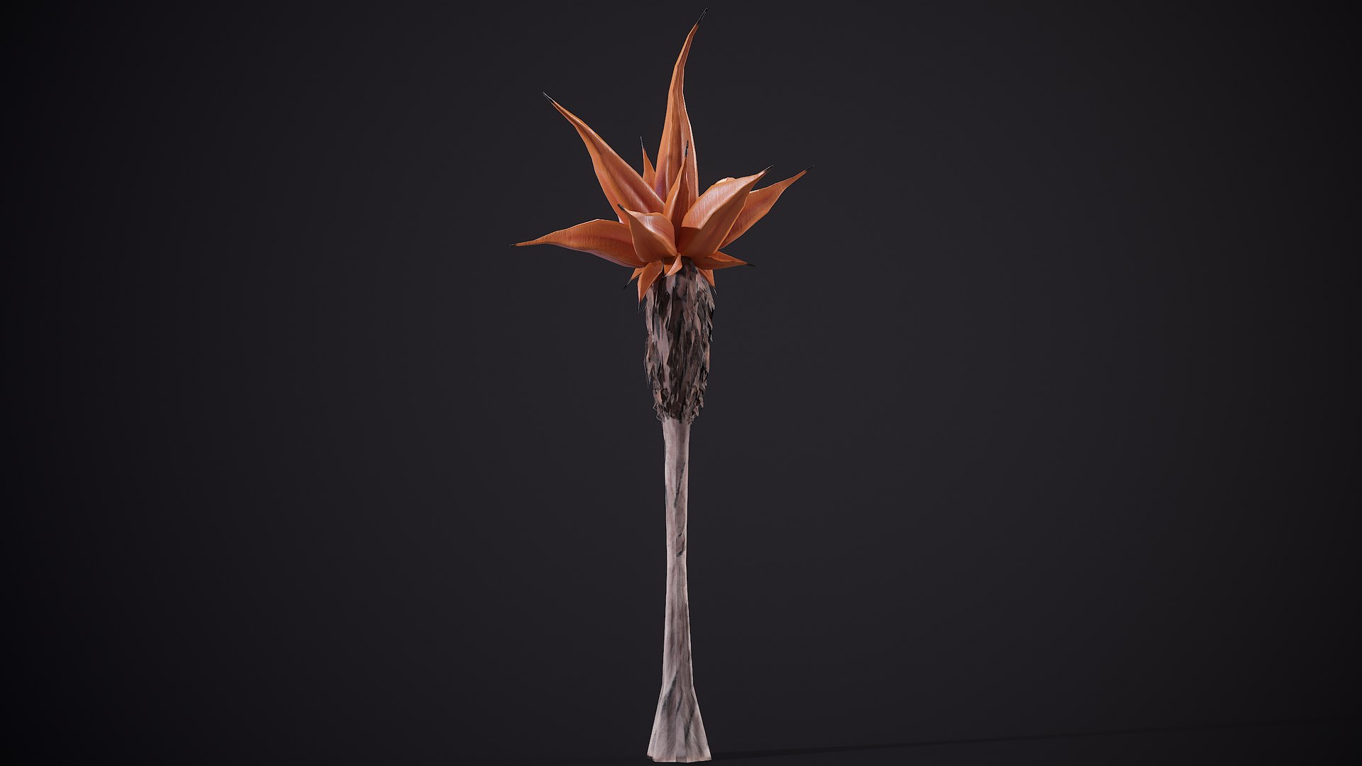 Alien Palm Vegetation 3D Model - TurboSquid 1688669