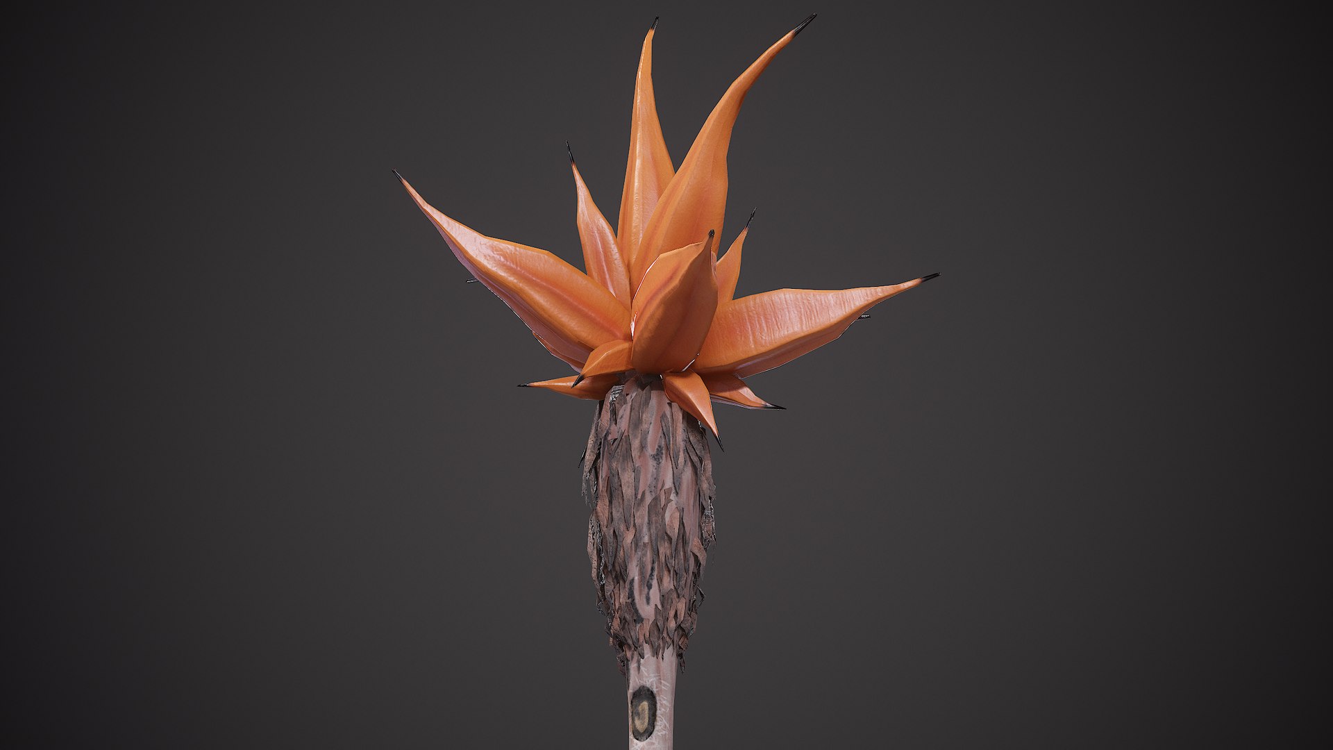 Alien Palm Vegetation 3D Model - TurboSquid 1688669