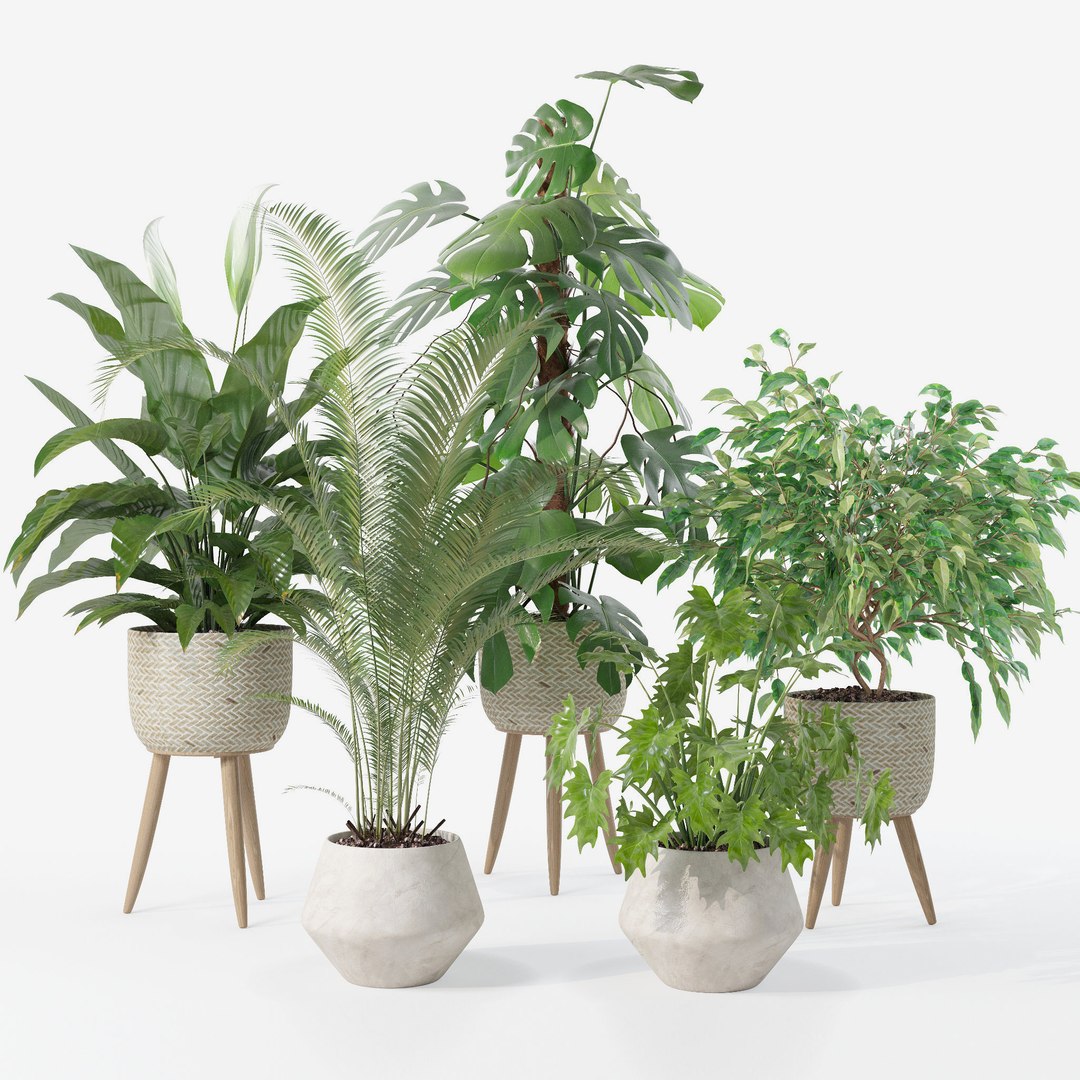 3D Plants Collection 121 - TurboSquid 1958884